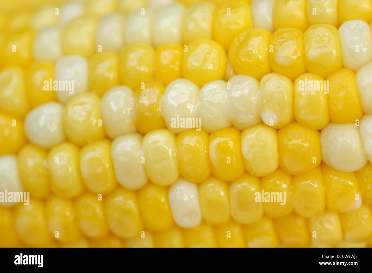 Cooked maize hi-res stock photography and images - Alamy