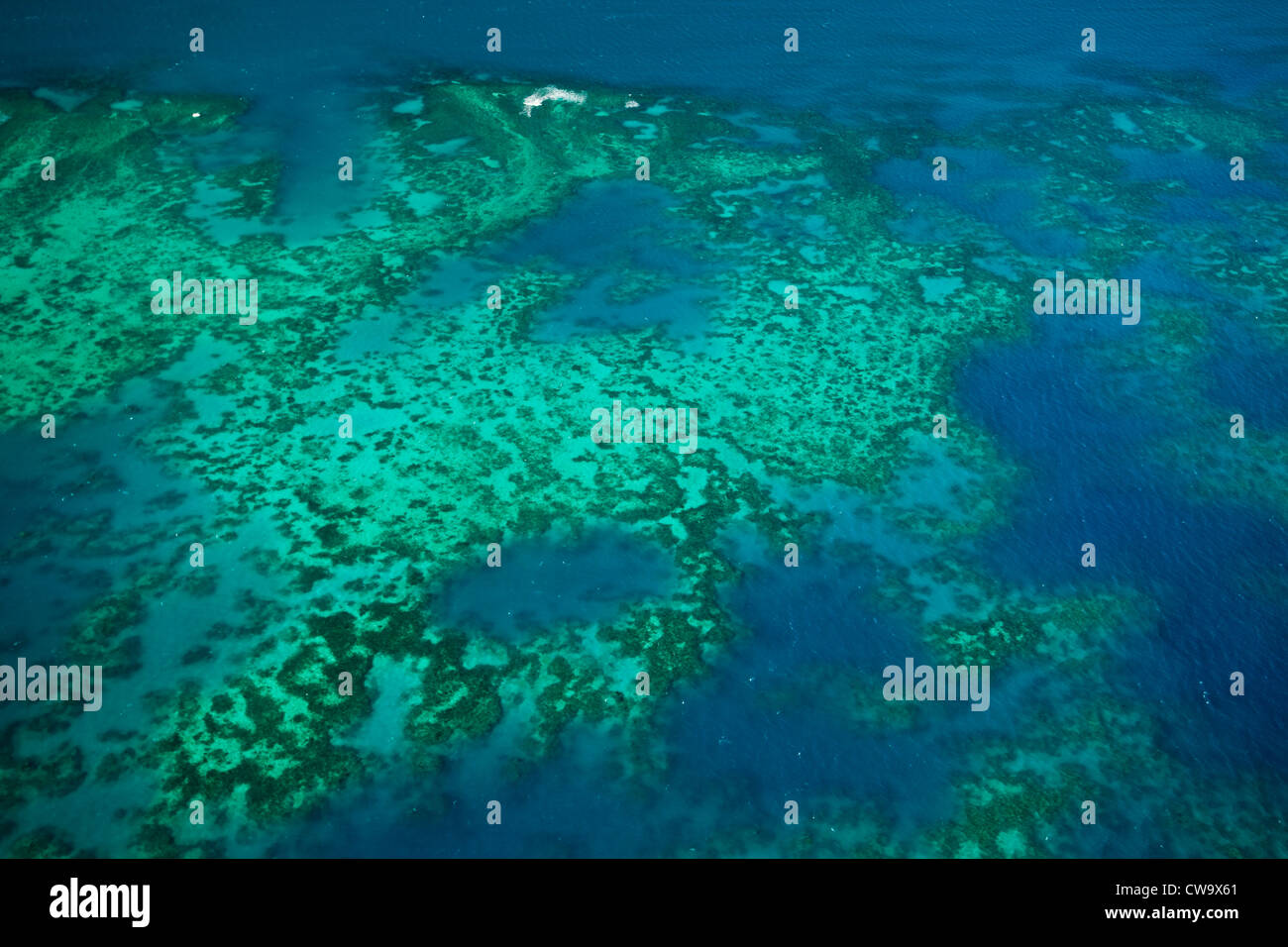 Aerial view of Upolu Cay and coral reef and clam beds at the Great ...