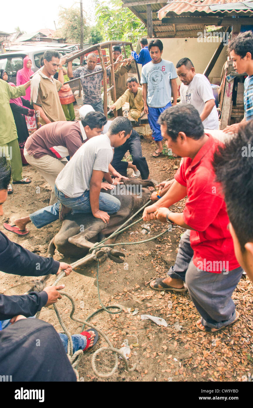 Hari Raya Aidiladha or hari raya haji, is an important religious ...