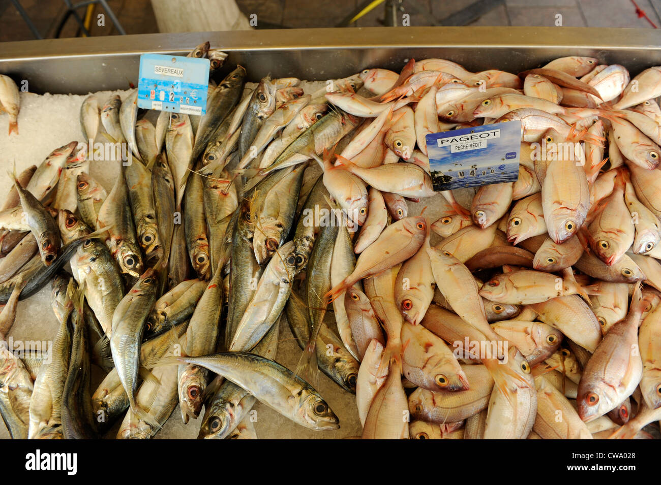 Fish Seafood Display Market Toulon France French Riviera Mediterranean ...