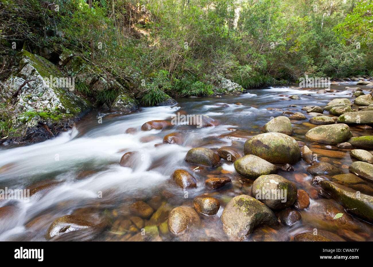 Temperate rainforest wales river hi-res stock photography and images ...