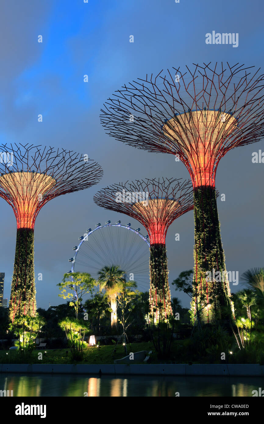 Supertrees at Gardens By the Bay in Singapore Stock Photo - Alamy
