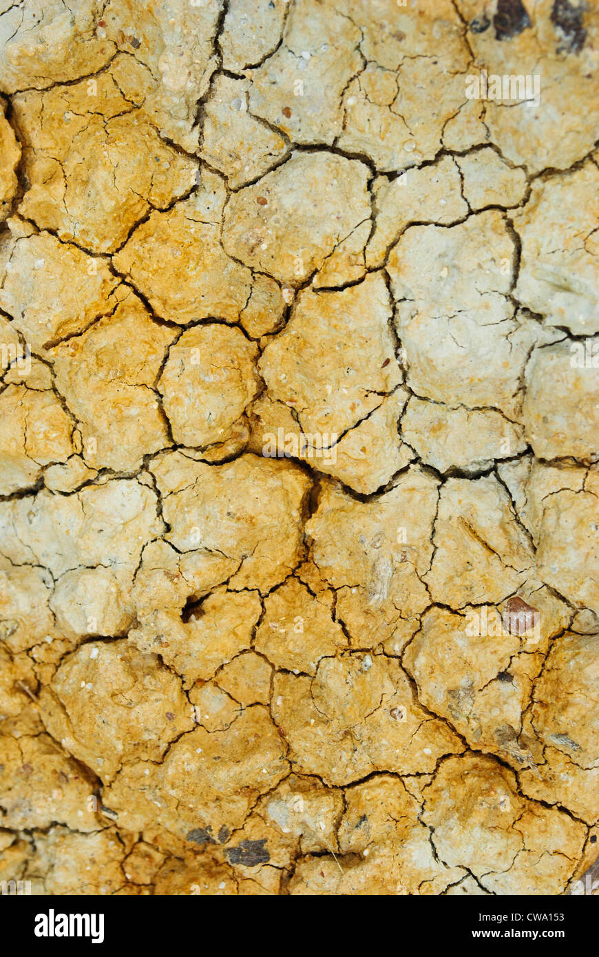 Dry soil texture Stock Photo - Alamy
