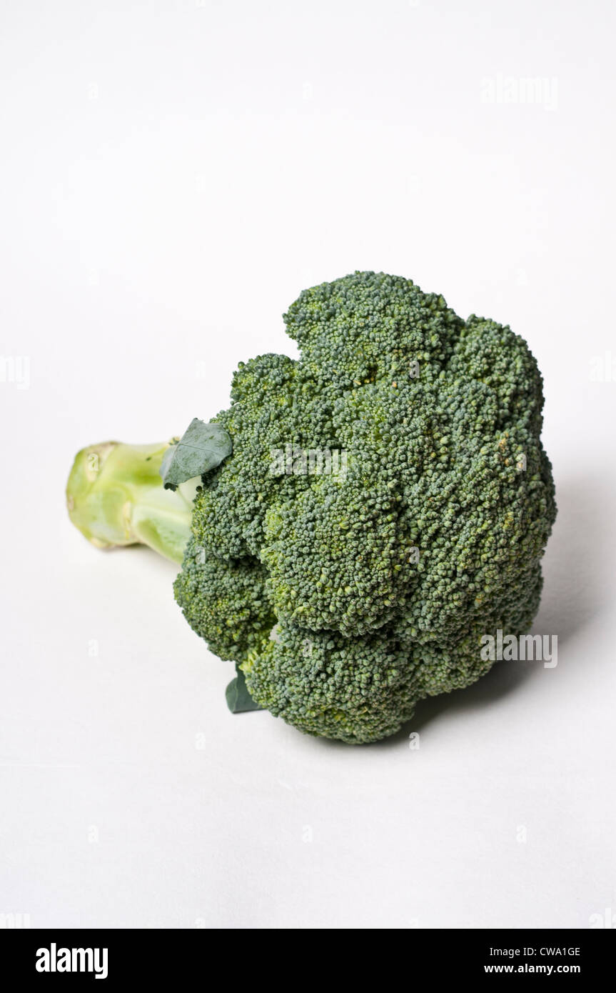 Single broccoli cut out hi-res stock photography and images - Alamy
