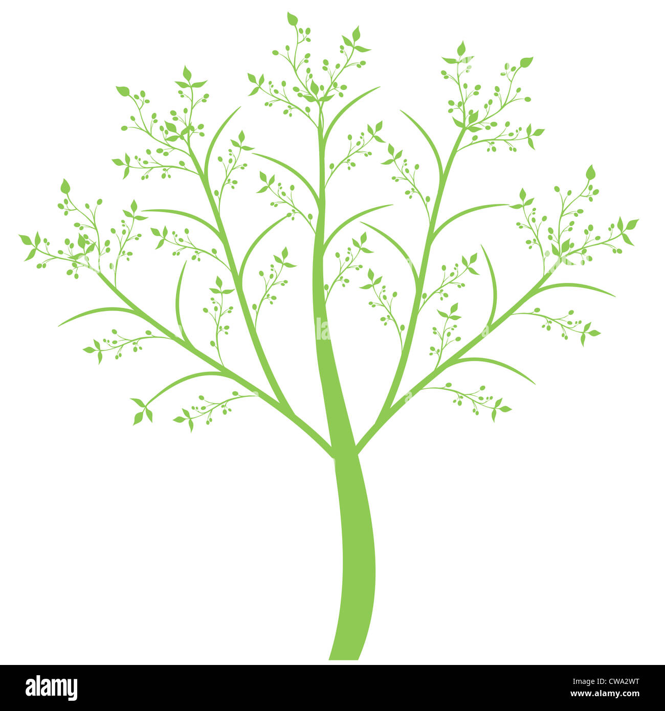 Abstract olive tree isolated on white background Stock Photo - Alamy