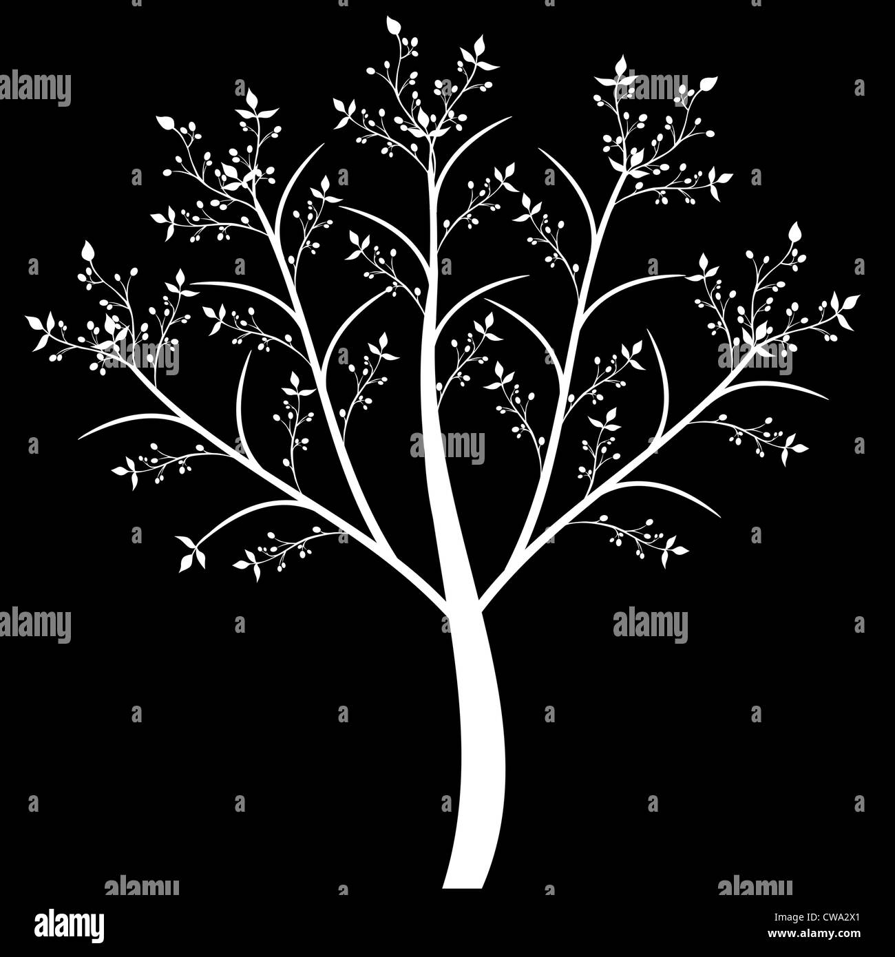 Abstract olive tree isolated on black background Stock Photo - Alamy