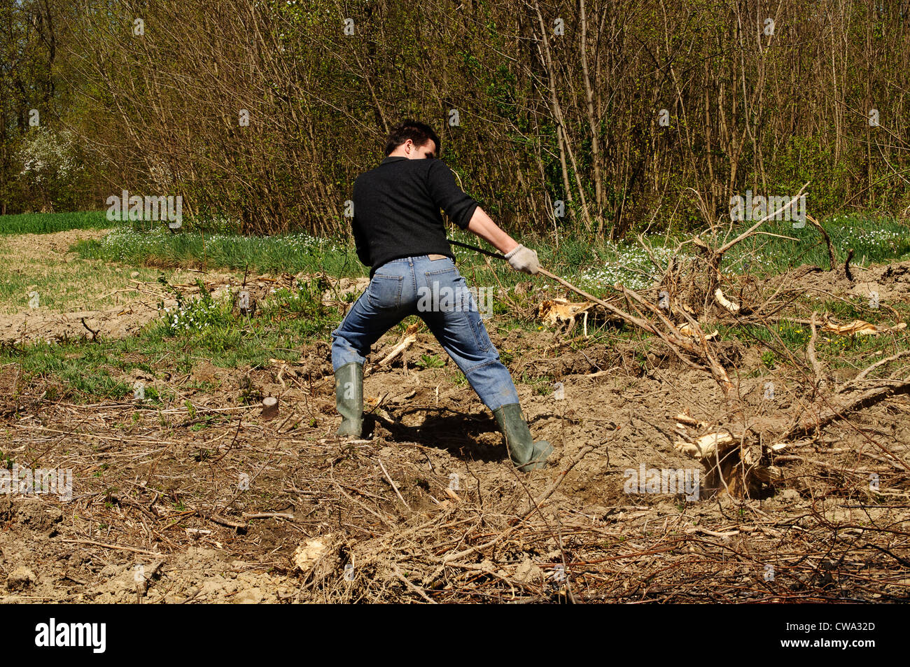 Deforesting hi-res stock photography and images - Alamy