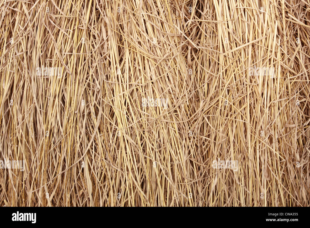 full frame close up brown straw heap Stock Photo - Alamy