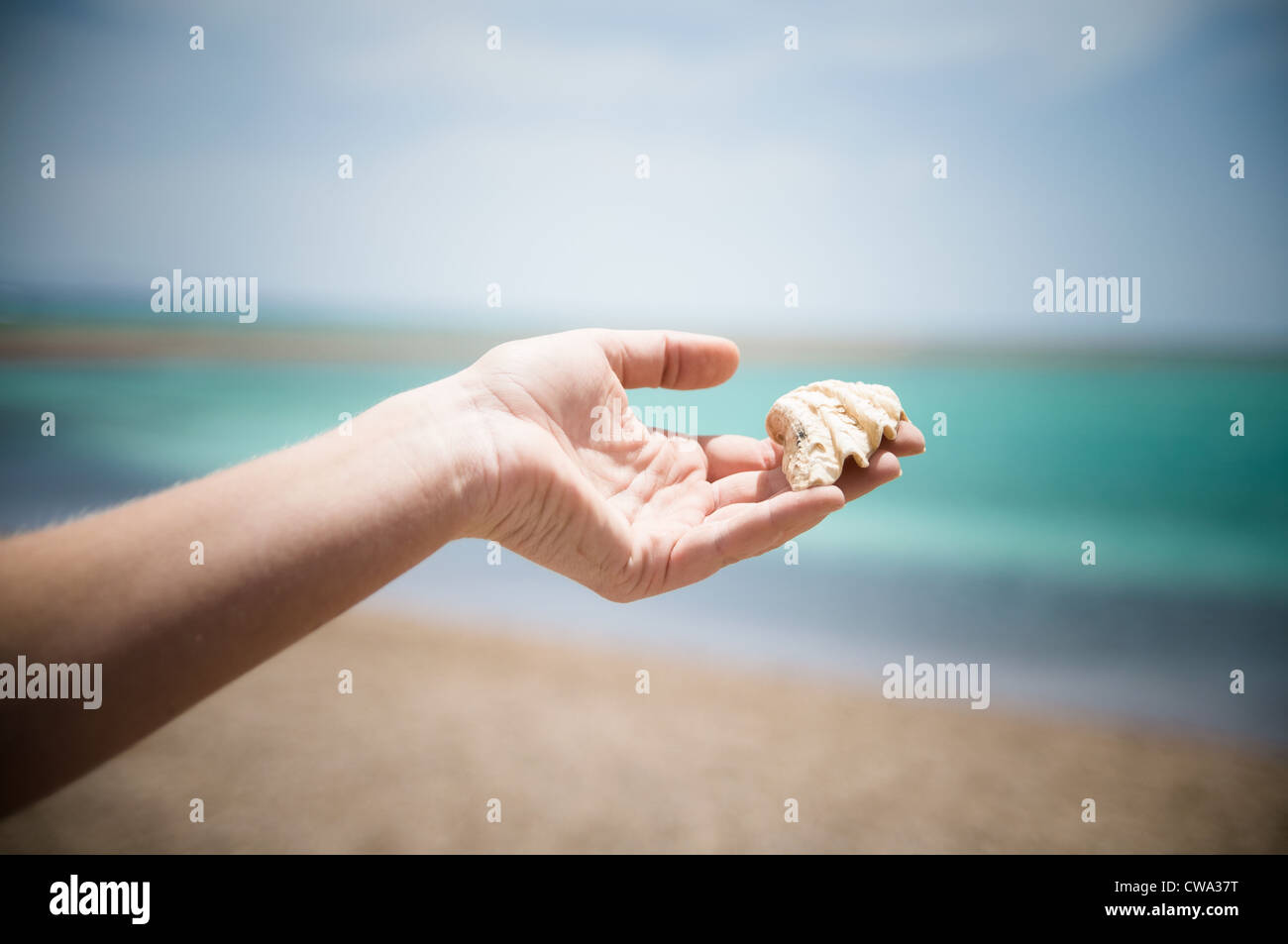 Shell woman beach hi-res stock photography and images - Alamy