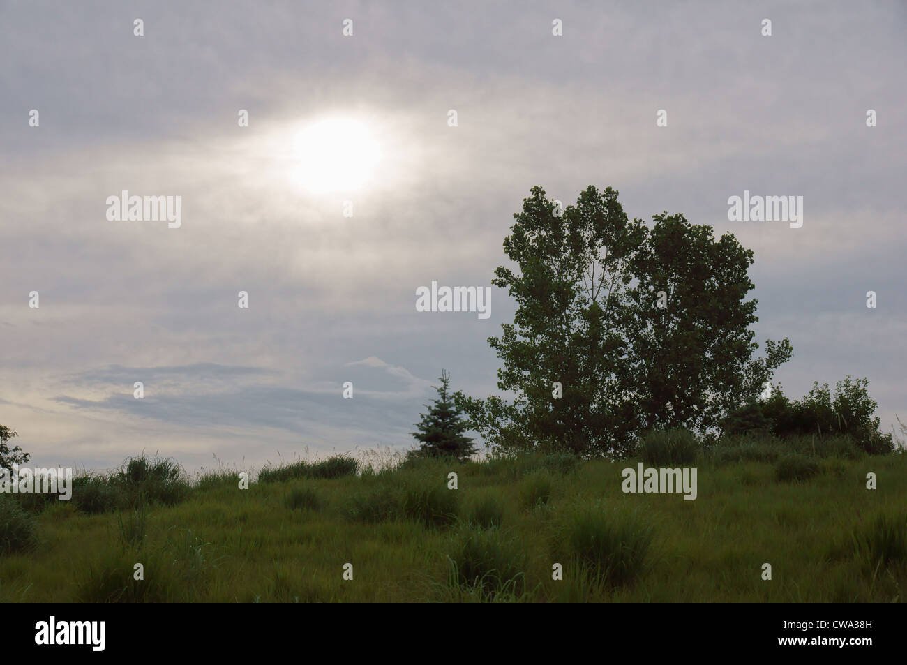 Creation of sun and moon hi-res stock photography and images - Alamy