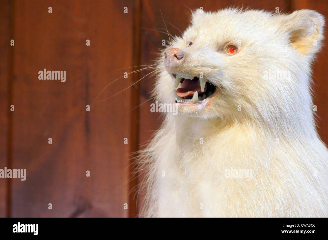 Dalton gang hi-res stock photography and images - Alamy