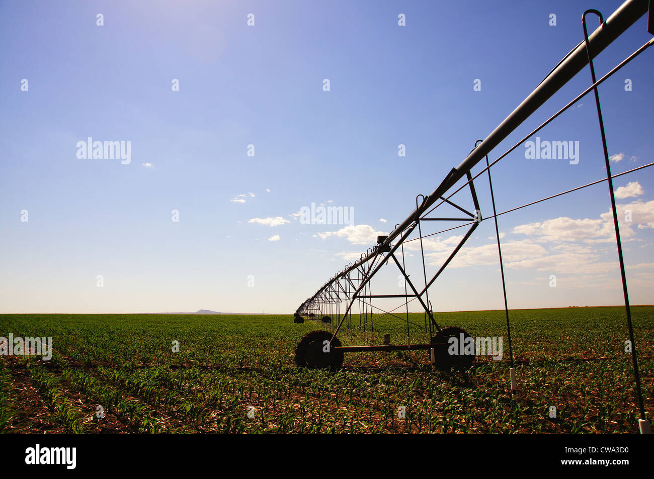 Circle irrigation hi-res stock photography and images - Alamy