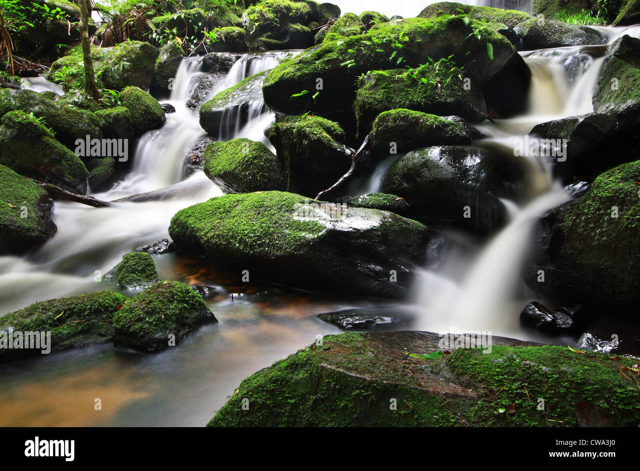 Beautiful waterfall small deep hi-res stock photography and images - Alamy
