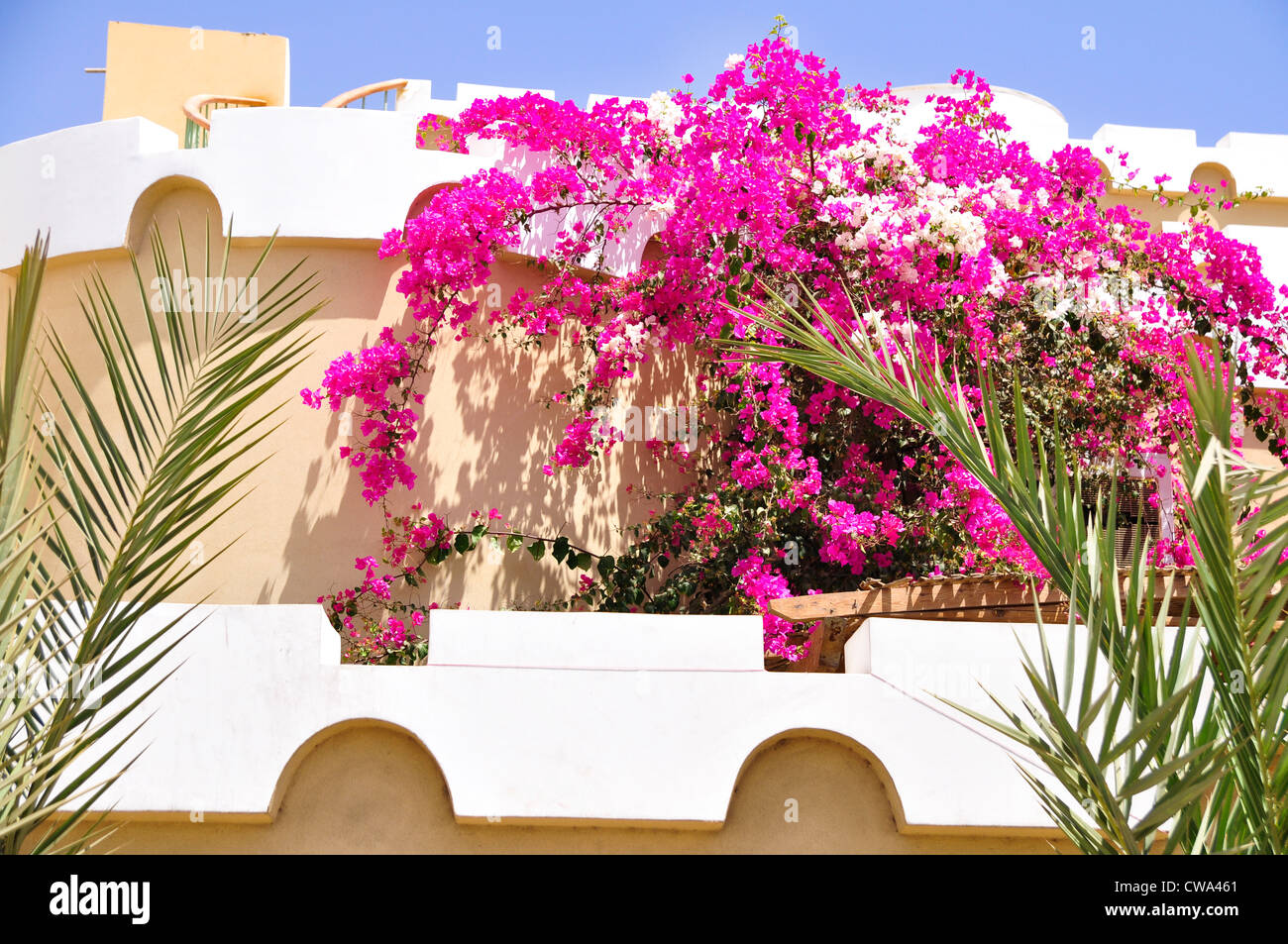 original style of external design in residential house Stock Photo - Alamy