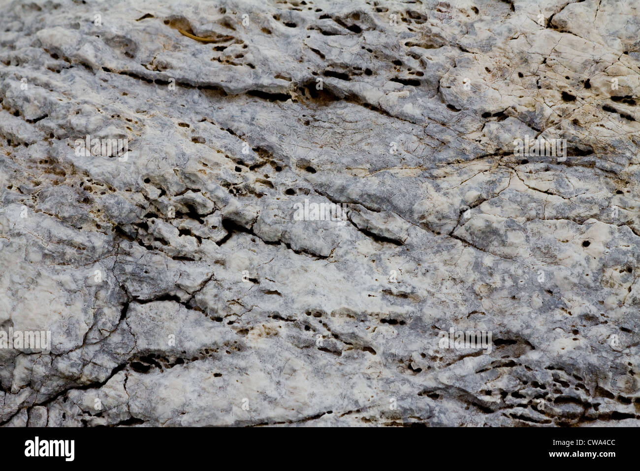 Rock textures in Durmitor Mountain, Montenegro Stock Photo - Alamy