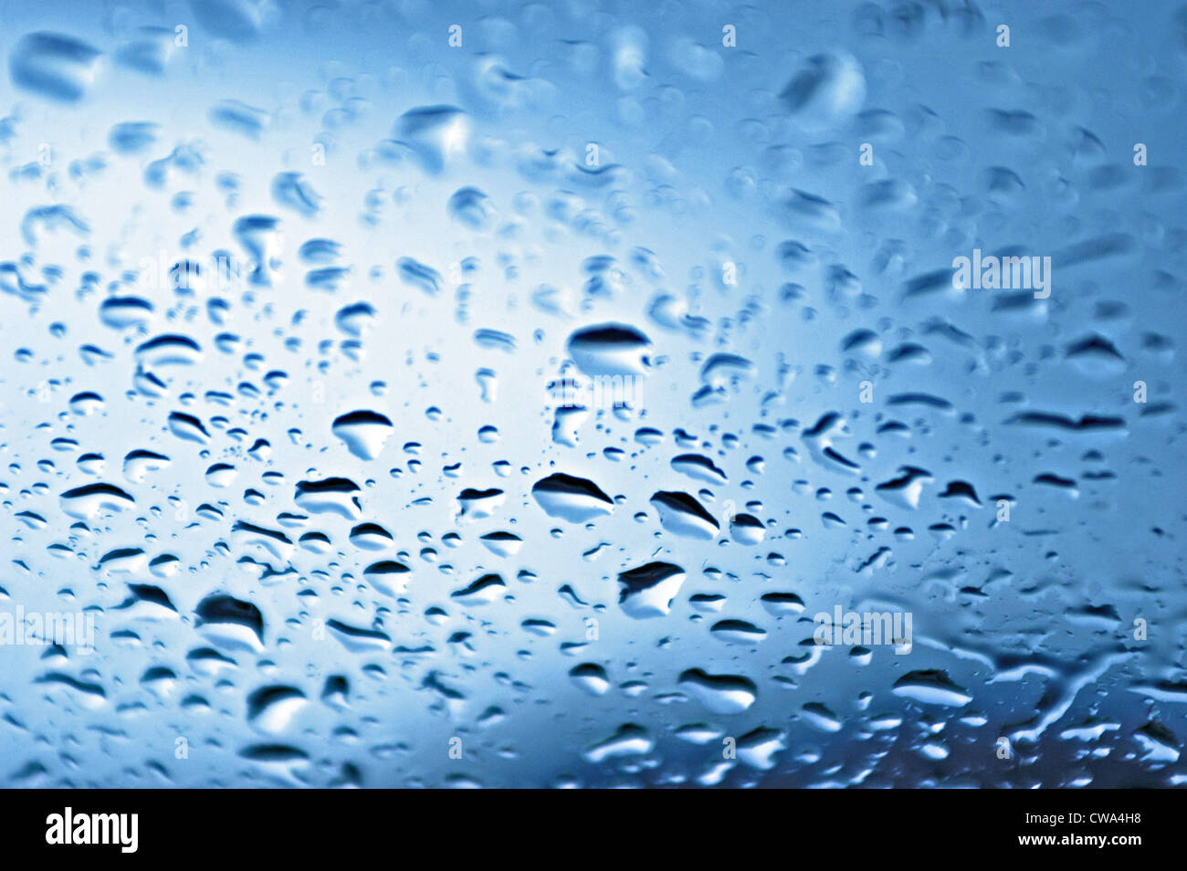 Berlin, drops of water on a glass slide Stock Photo - Alamy