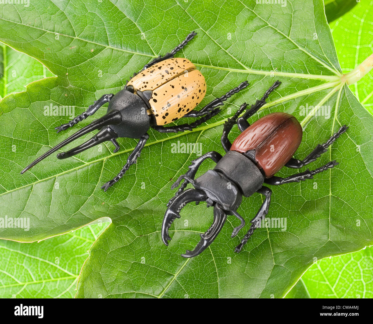 Beetle figures hi-res stock photography and images - Alamy