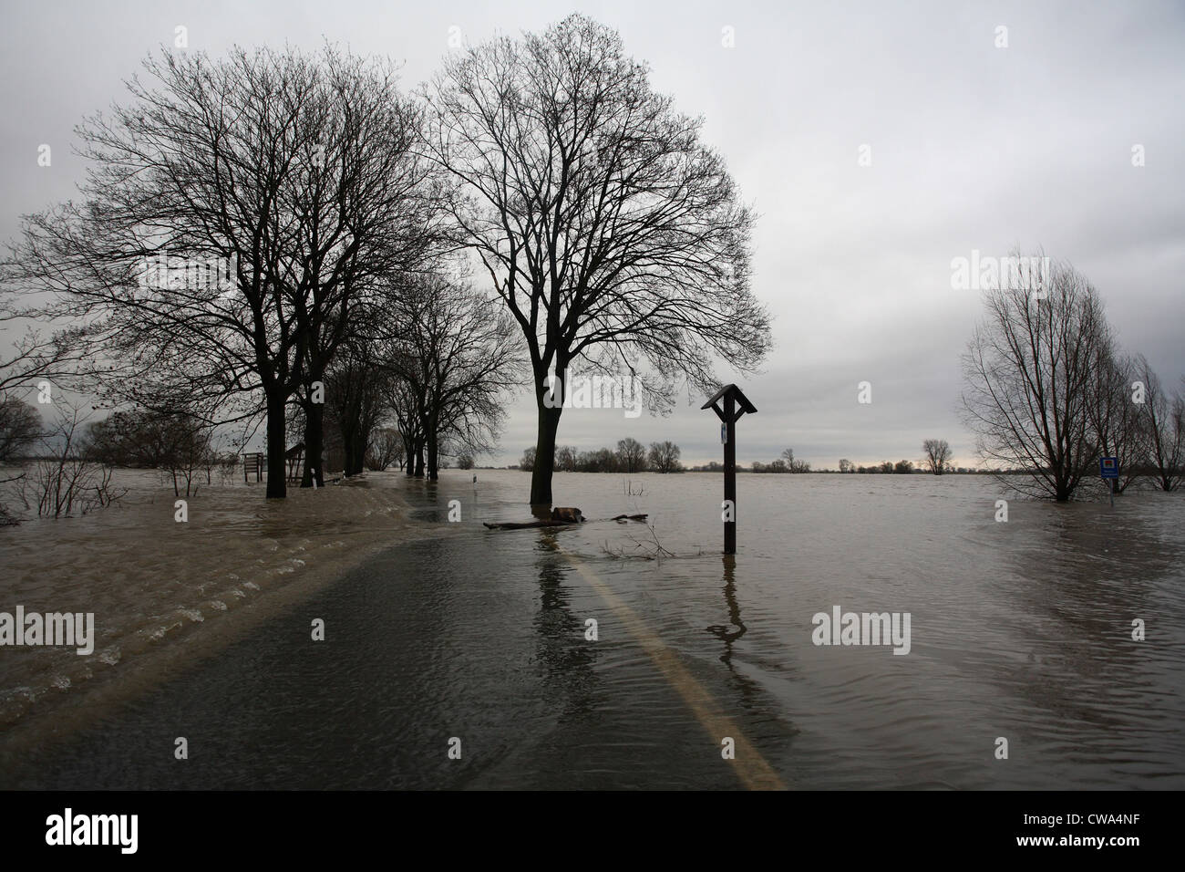 Elbe flood 2006 disaster hi-res stock photography and images - Alamy