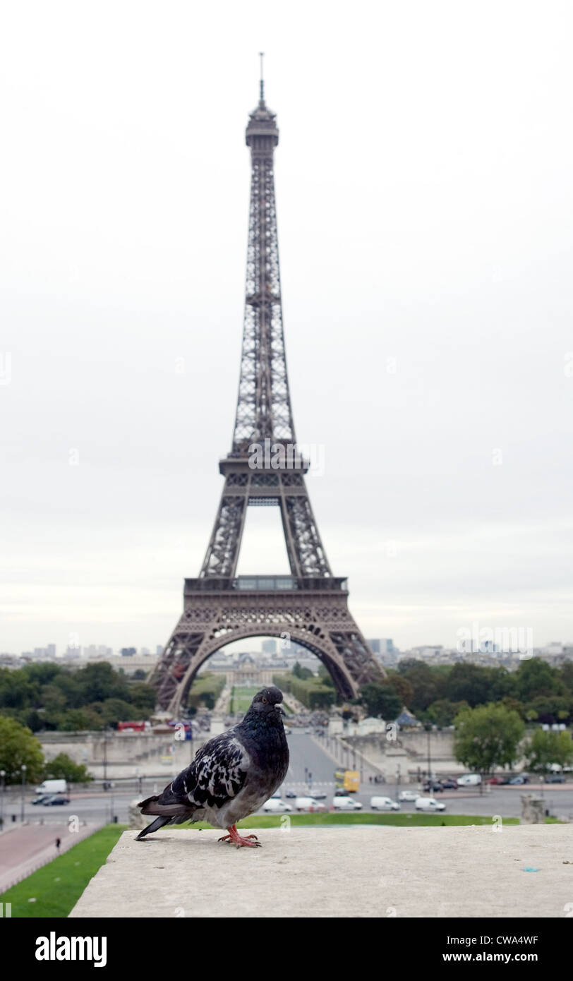 Gustave eiffel 1889 construction hi-res stock photography and images ...