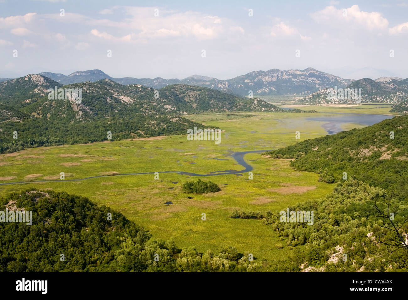 Shkoder Lake, Montenegro Stock Photo - Alamy
