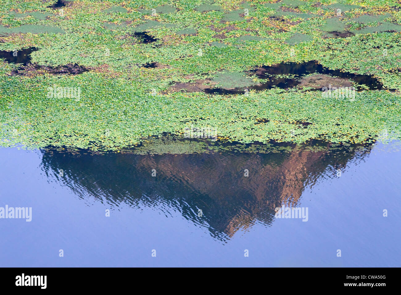 Shkoder Lake, Montenegro Stock Photo - Alamy