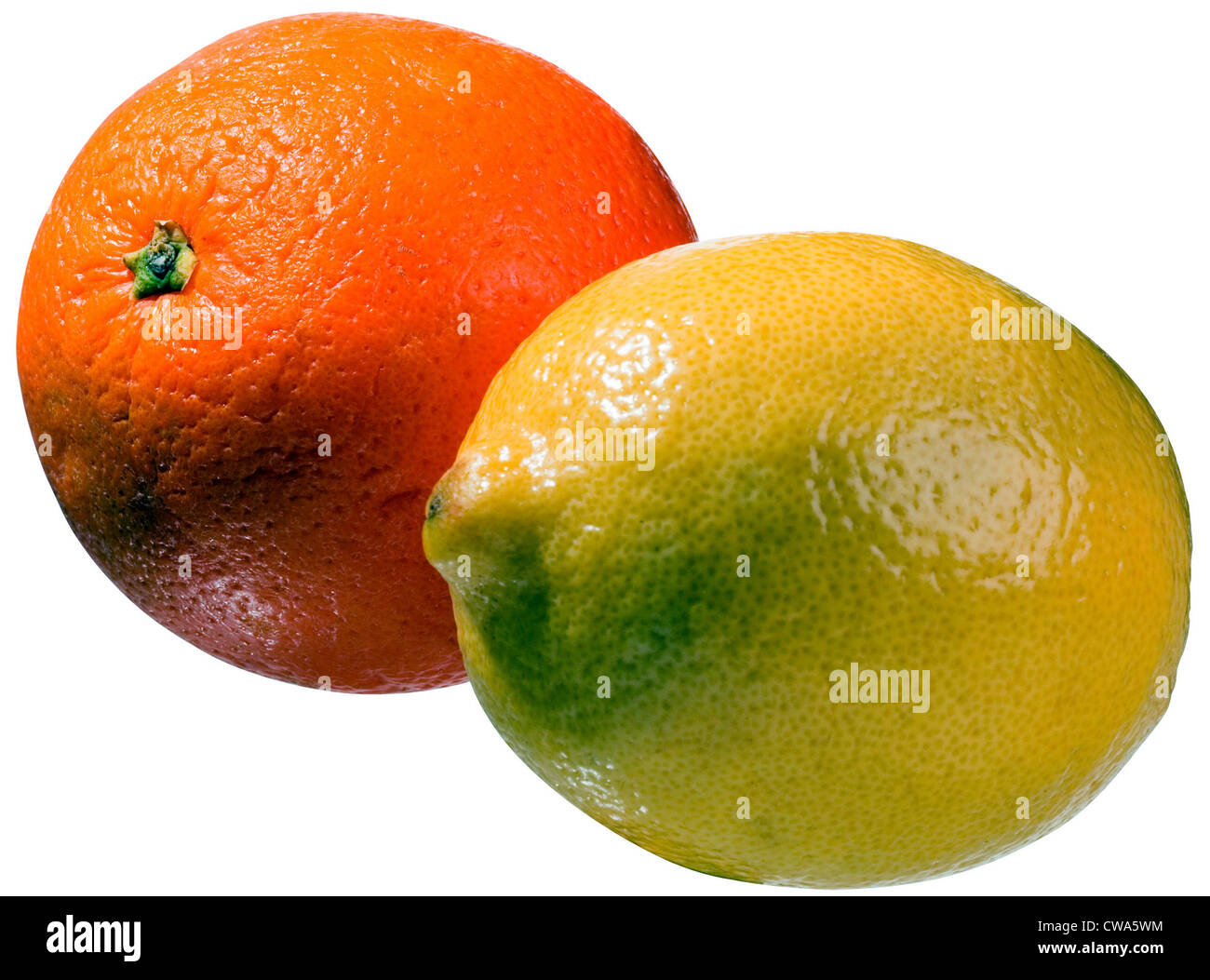 Berlin, studio recording of one lemon and one orange Stock Photo - Alamy