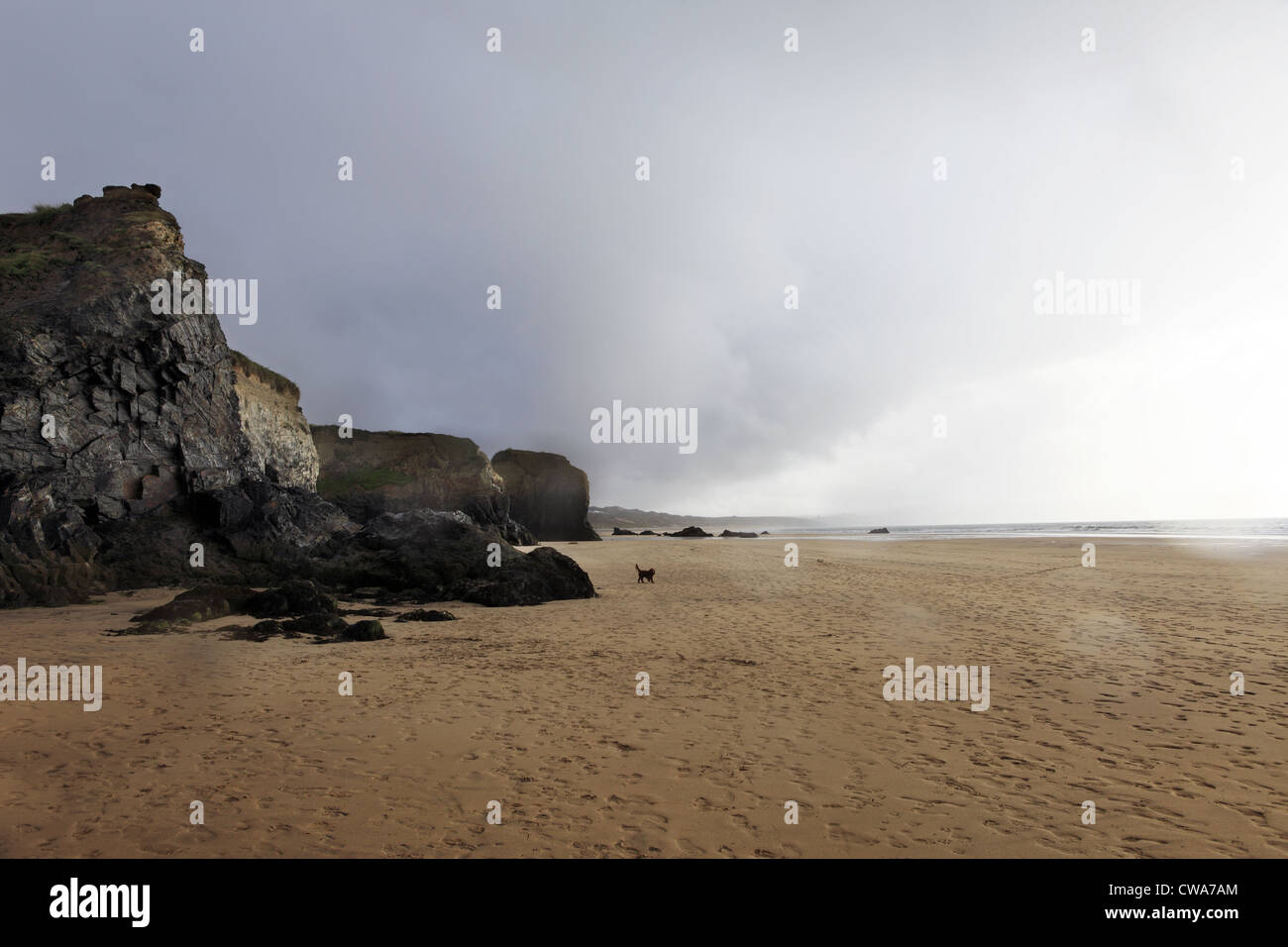 Summer cornwall beach rain hi-res stock photography and images - Alamy