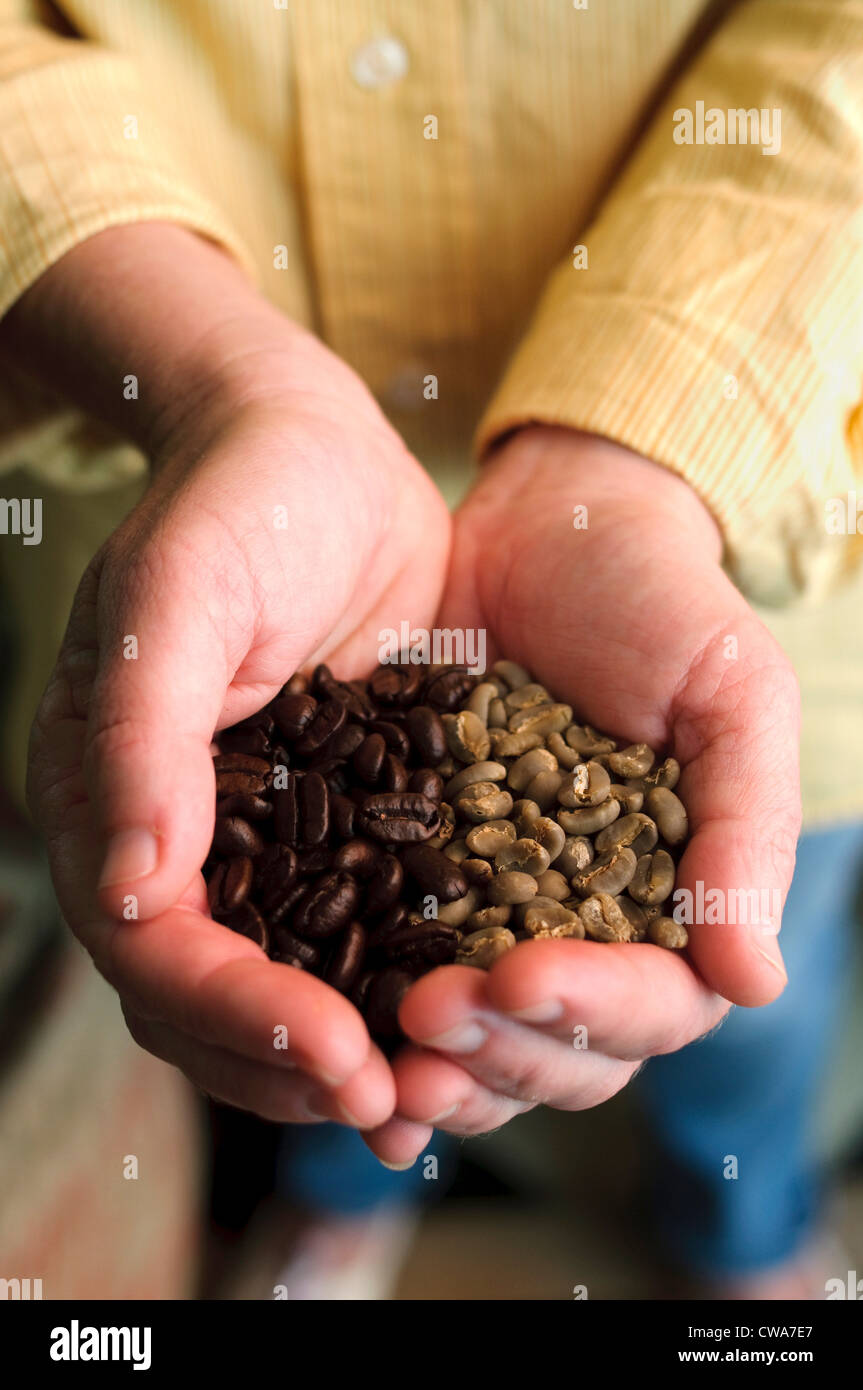 Hand Cupped Hands High Resolution Stock Photography and Images - Alamy