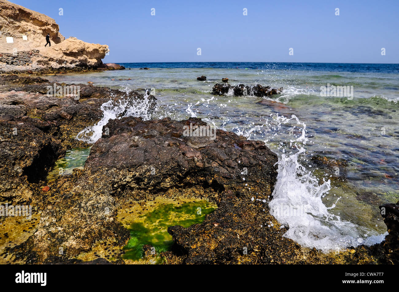 the wave of Red Sea is breaking on the shore Stock Photo - Alamy