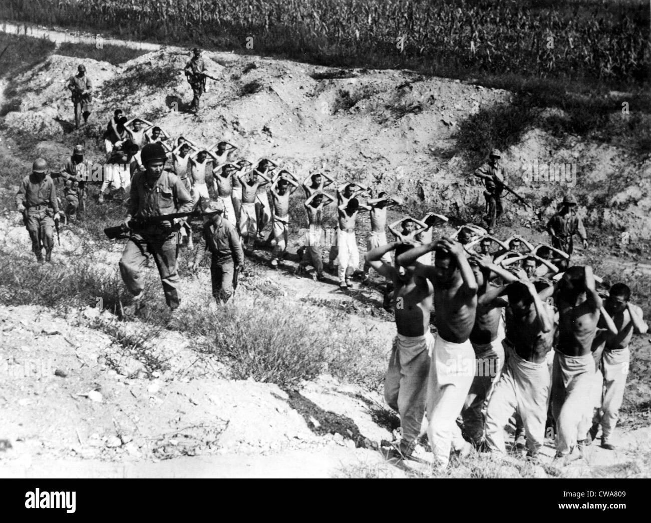 Corn fields in north korea hi-res stock photography and images - Alamy