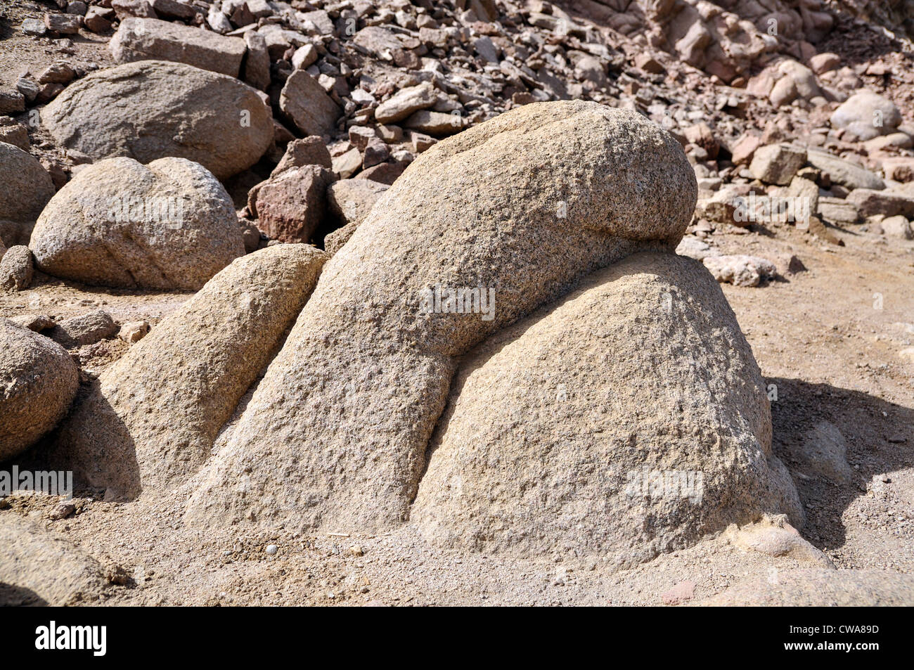 bizzare shape of rocks on the beach of Red sea Stock Photo - Alamy