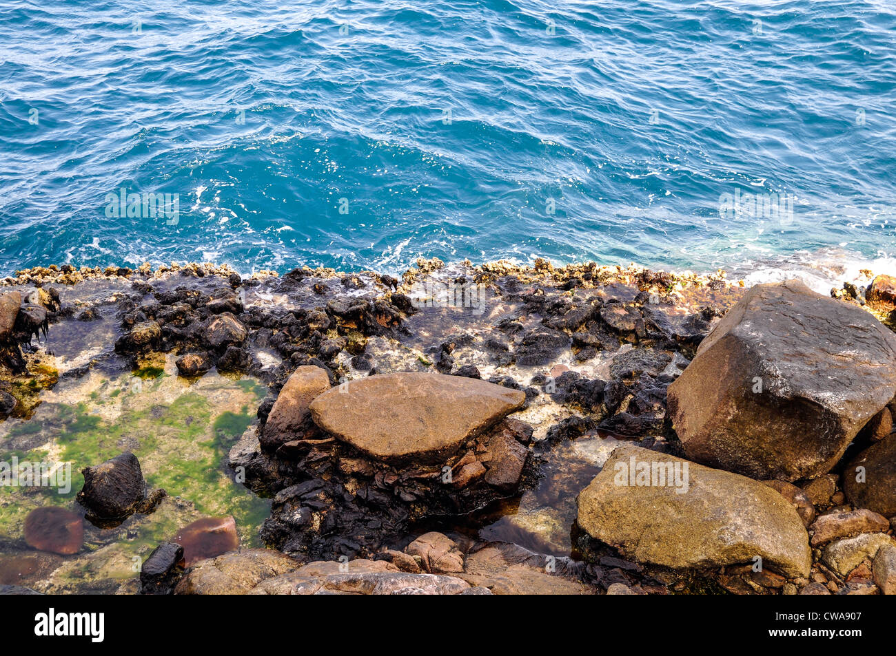 coastline of the rocky coast, Red sea Stock Photo - Alamy