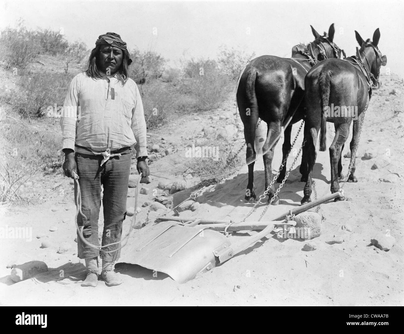 Arizona's Salt River Project involved the construction of a system of ...