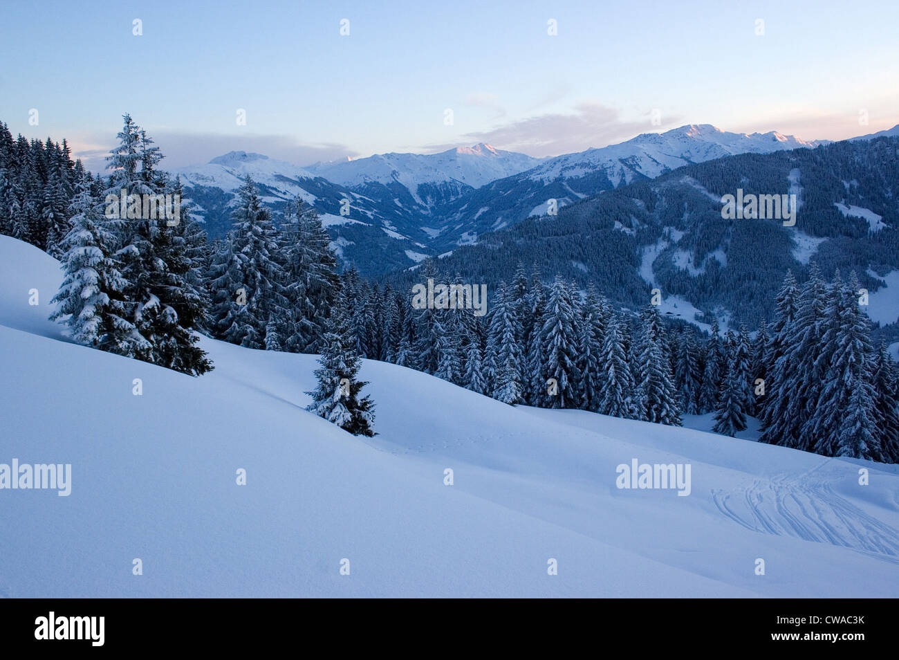 Niederau, Wildschoenau mountains in Tyrol Stock Photo - Alamy