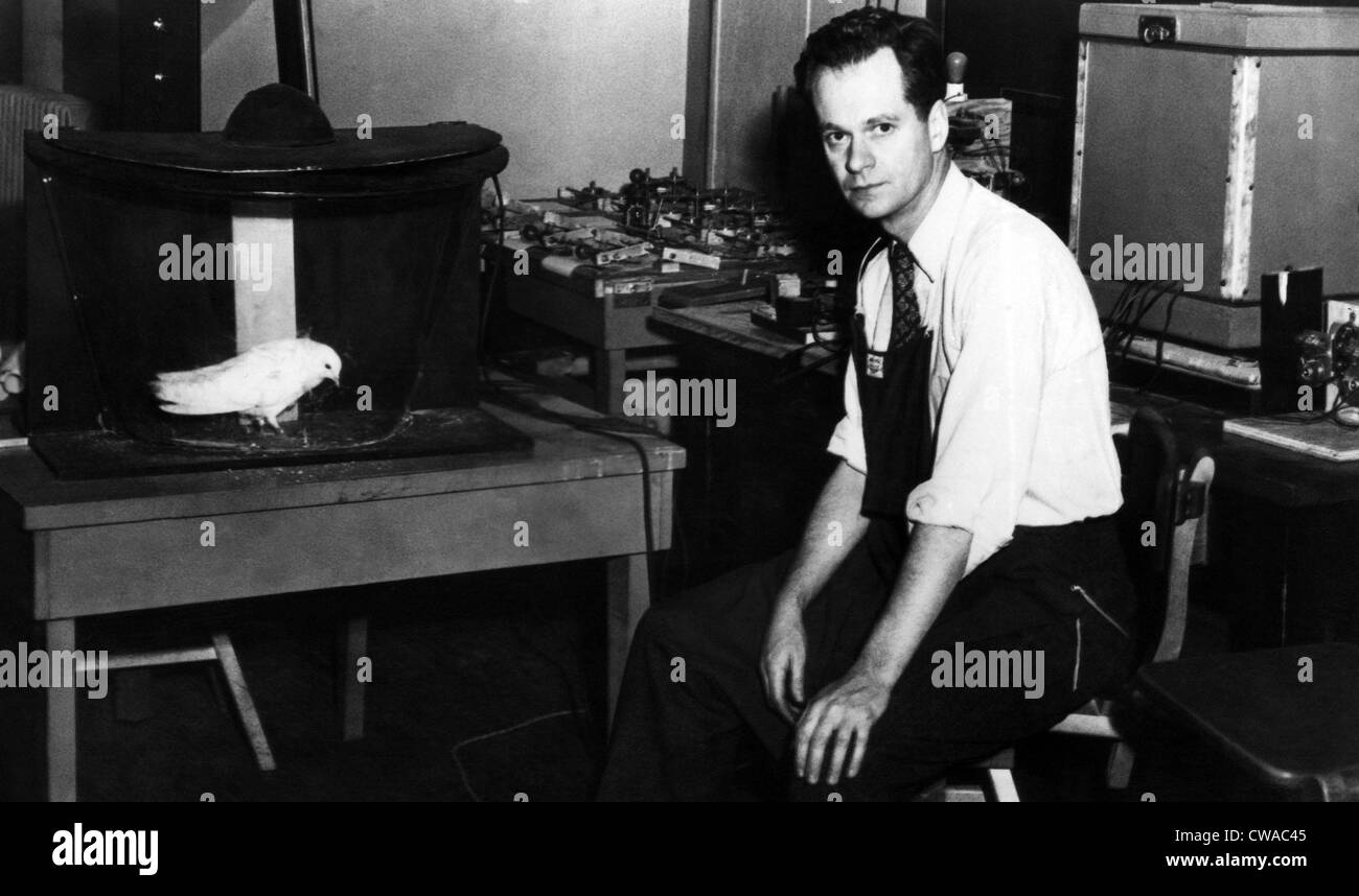 B f skinner hi-res stock photography and images - Alamy