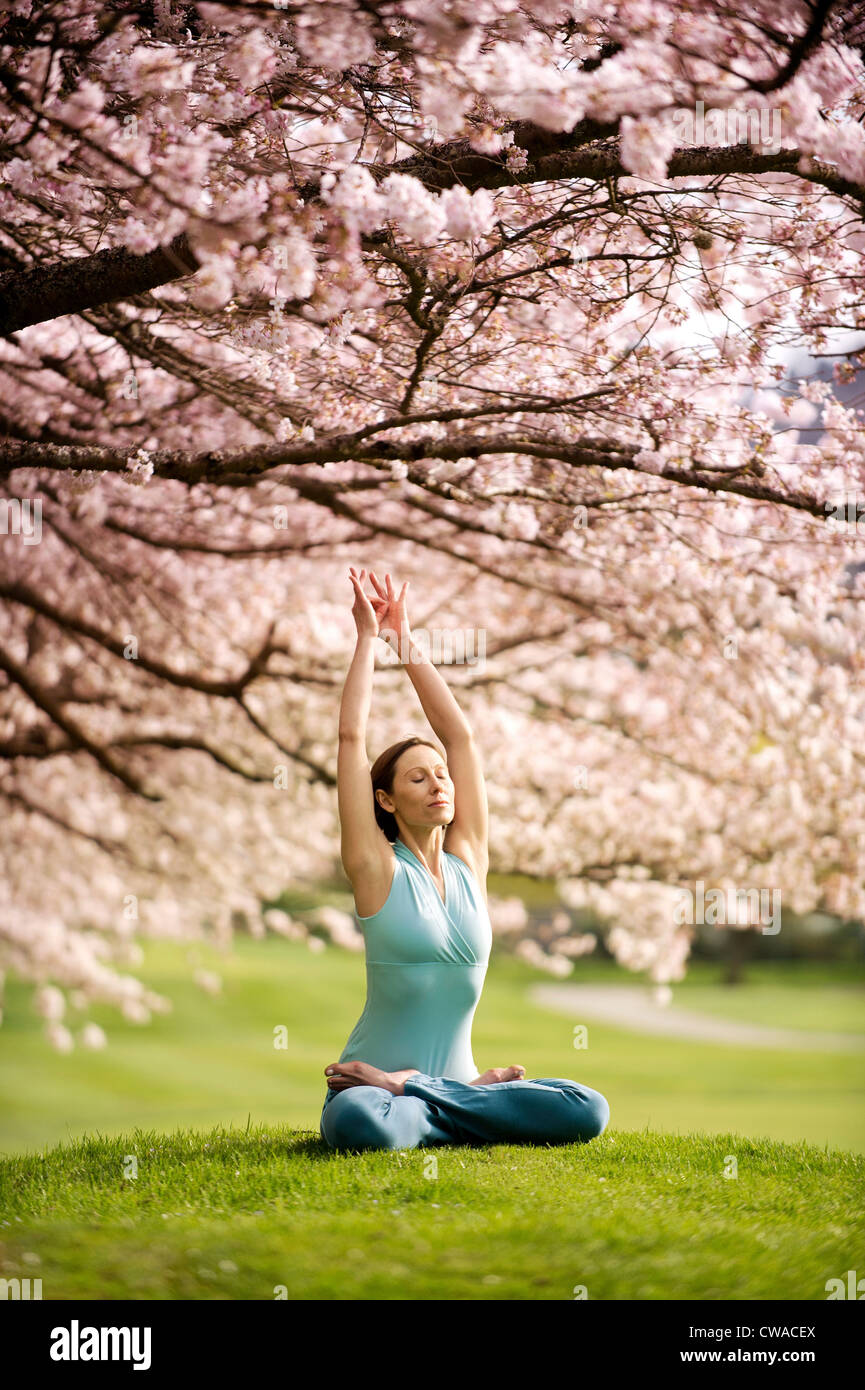 Woman in lotus position under cherry tree, with arms raised Stock Photo ...