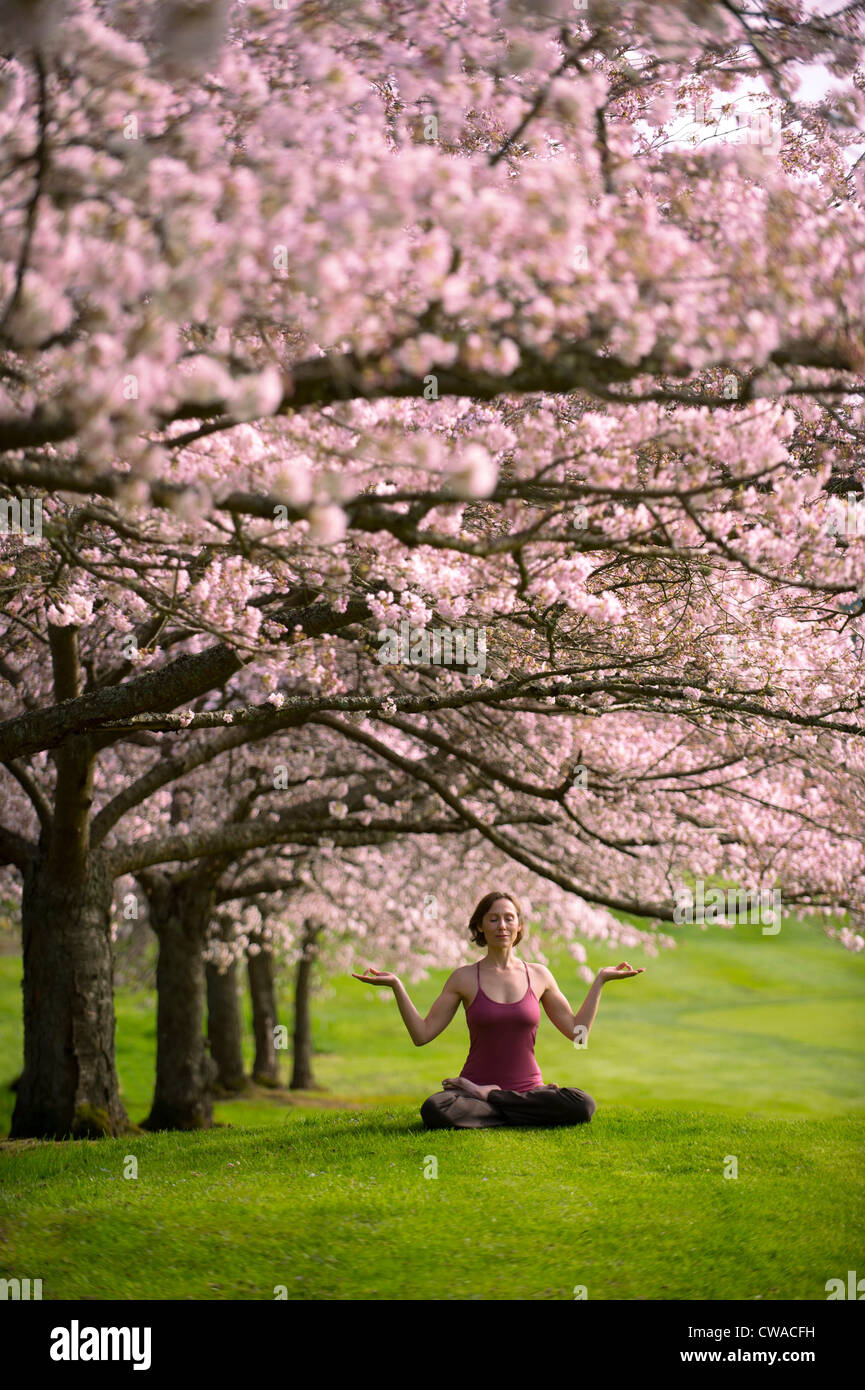 Woman in lotus position under cherry tree Stock Photo - Alamy