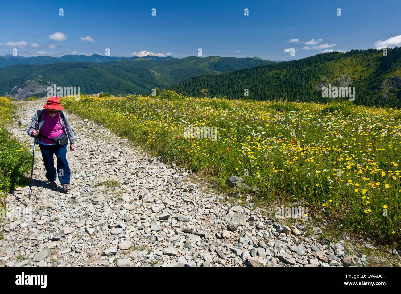 Female mountain hiker hi-res stock photography and images - Alamy