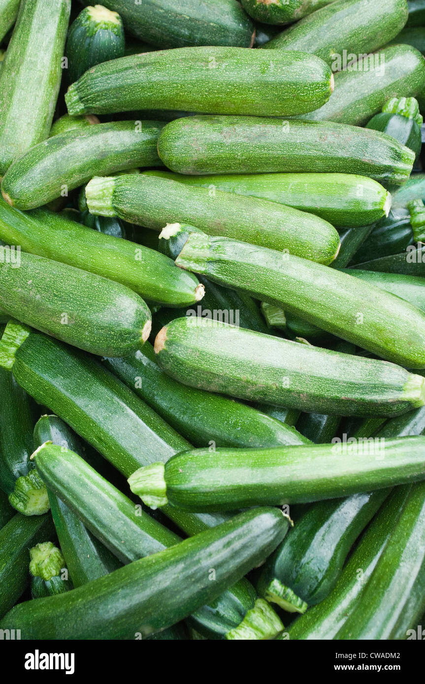 Shop uit hi-res stock photography and images - Alamy