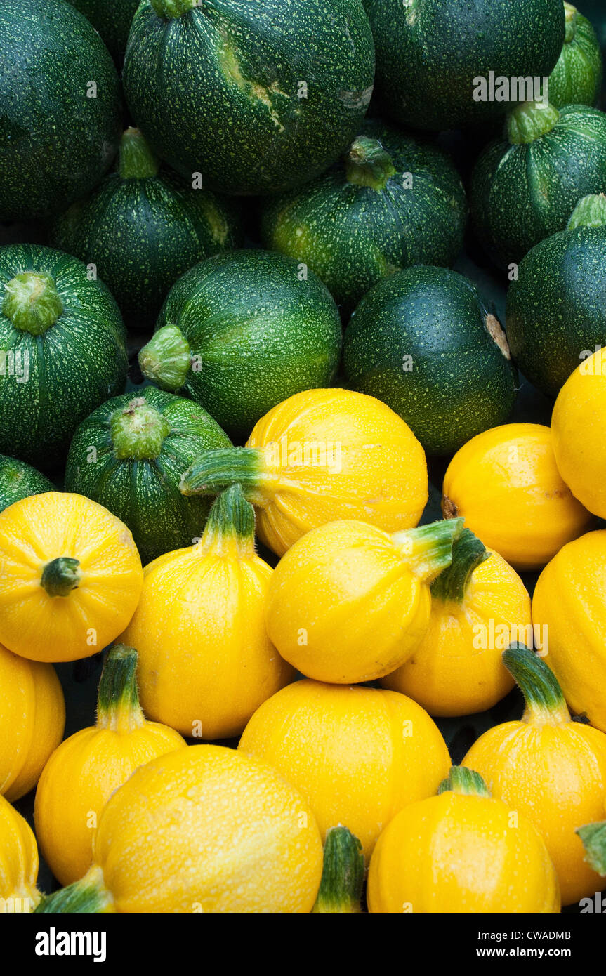 Round yellow and green courgettes Stock Photo - Alamy