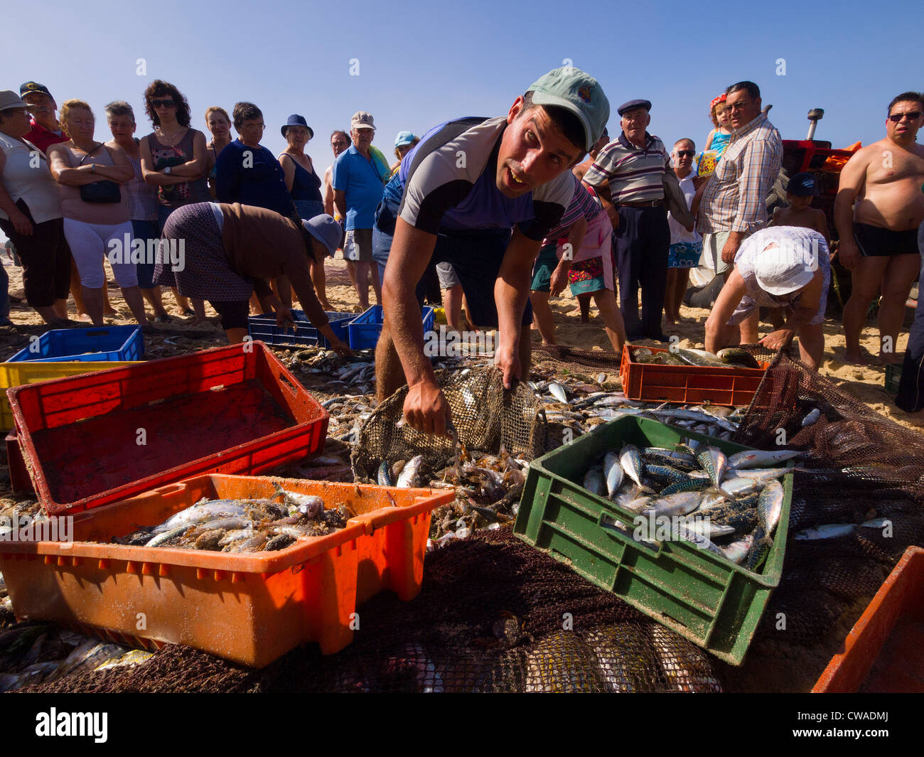 Fishermen selling fish in Praia da Tocha, Portugal Stock Photo - Alamy