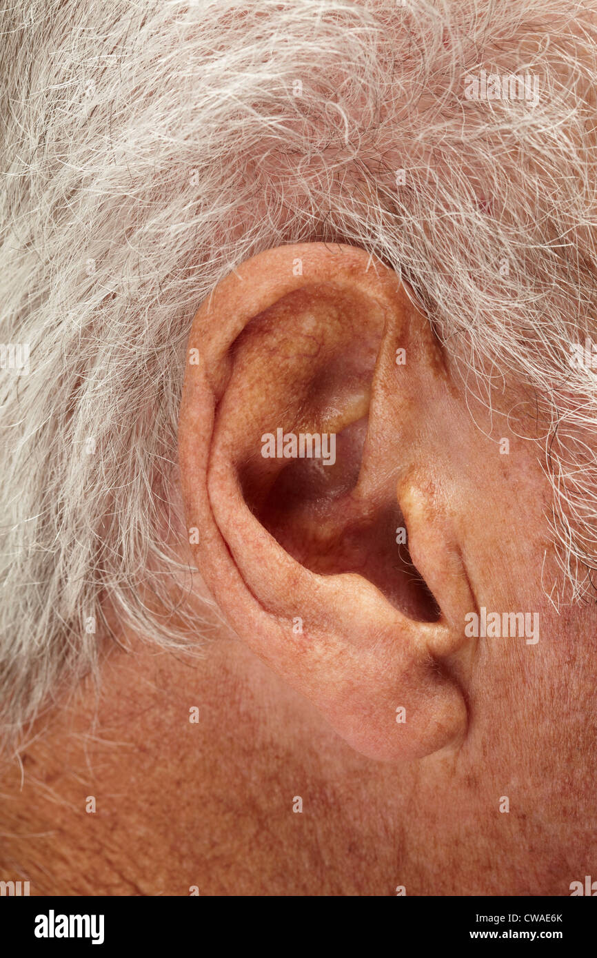 Ear close hi-res stock photography and images - Alamy