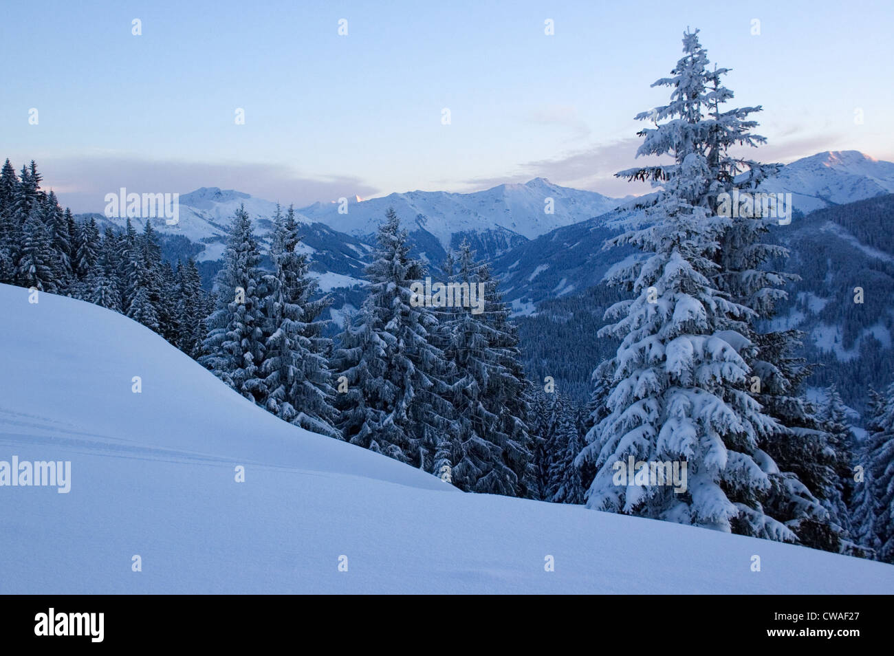 Niederau, Wildschoenau mountains in Tyrol Stock Photo - Alamy