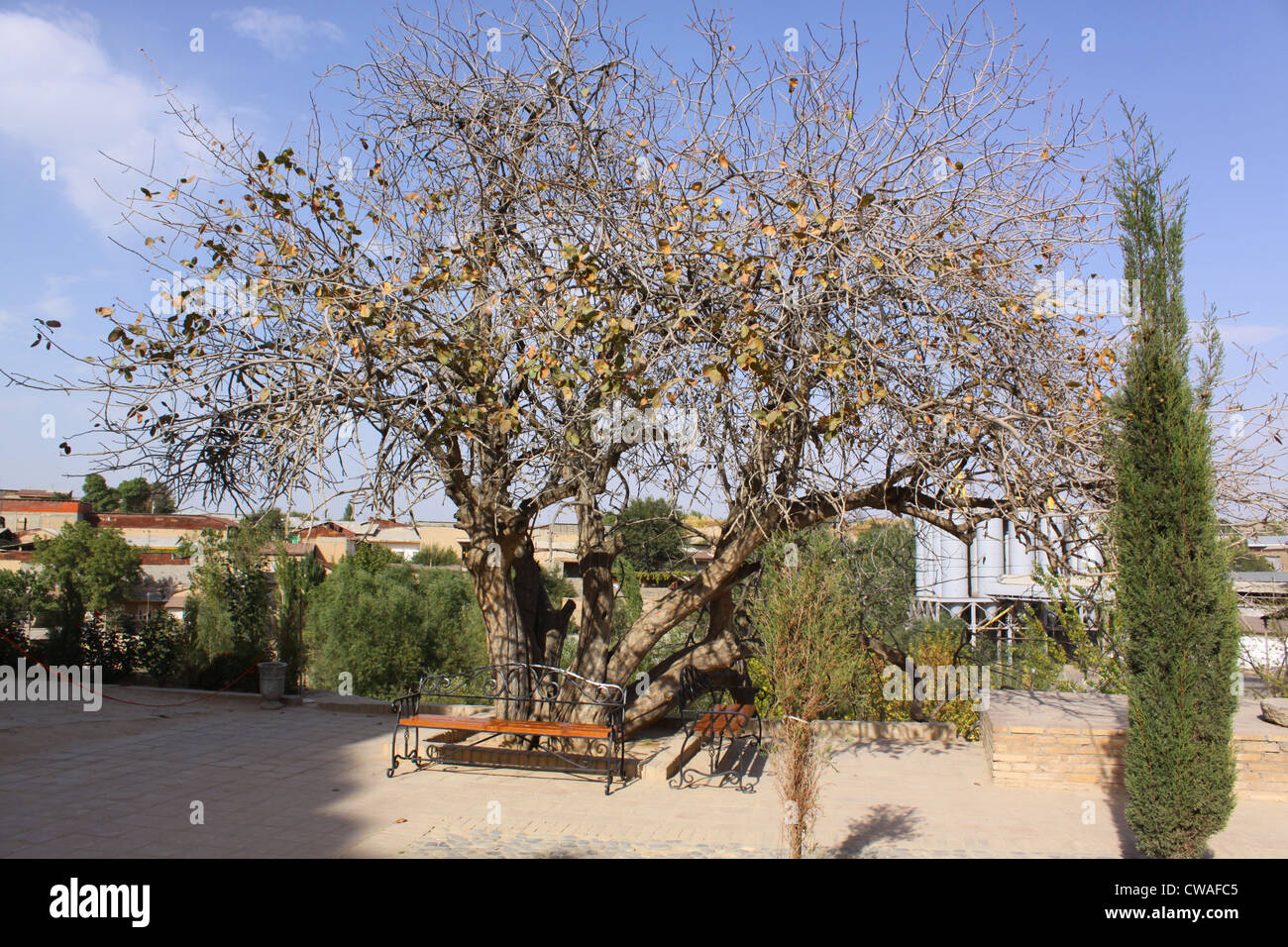 Samarkand st uzbekistan daniel mausoleum hi-res stock photography and ...
