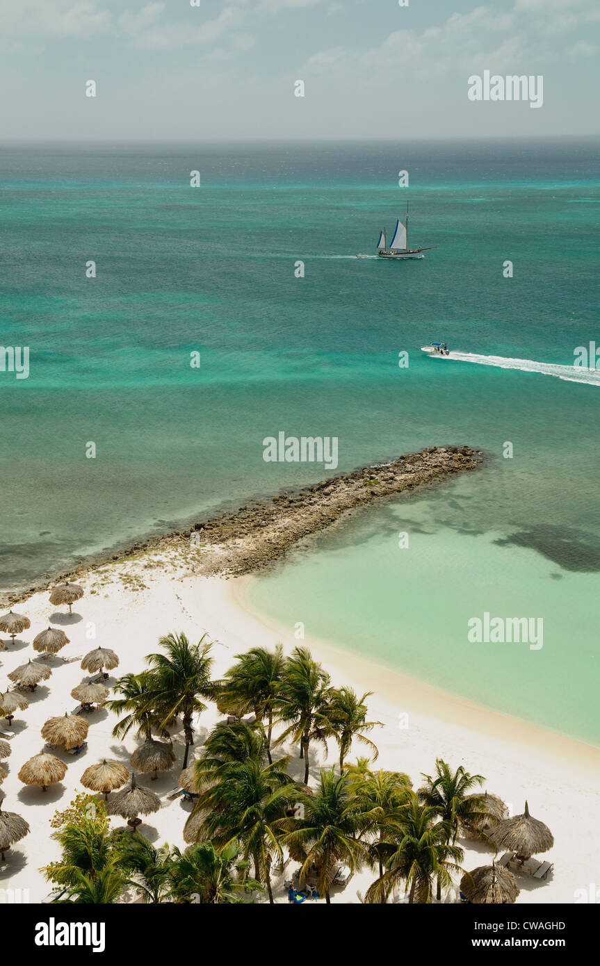 Aruba Beach Tree High Resolution Stock Photography and Images - Alamy