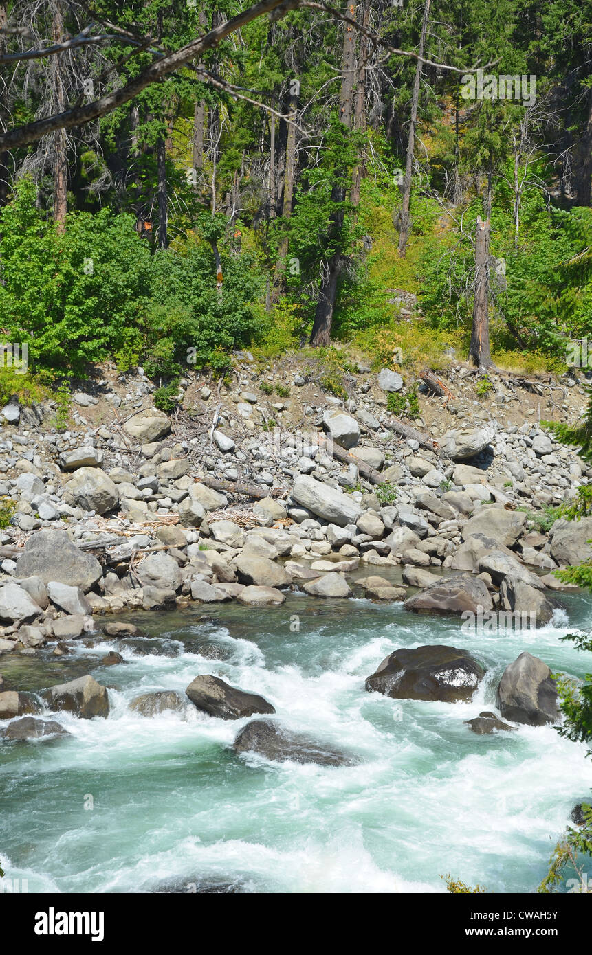 Rushing river rapids running through forest Stock Photo - Alamy