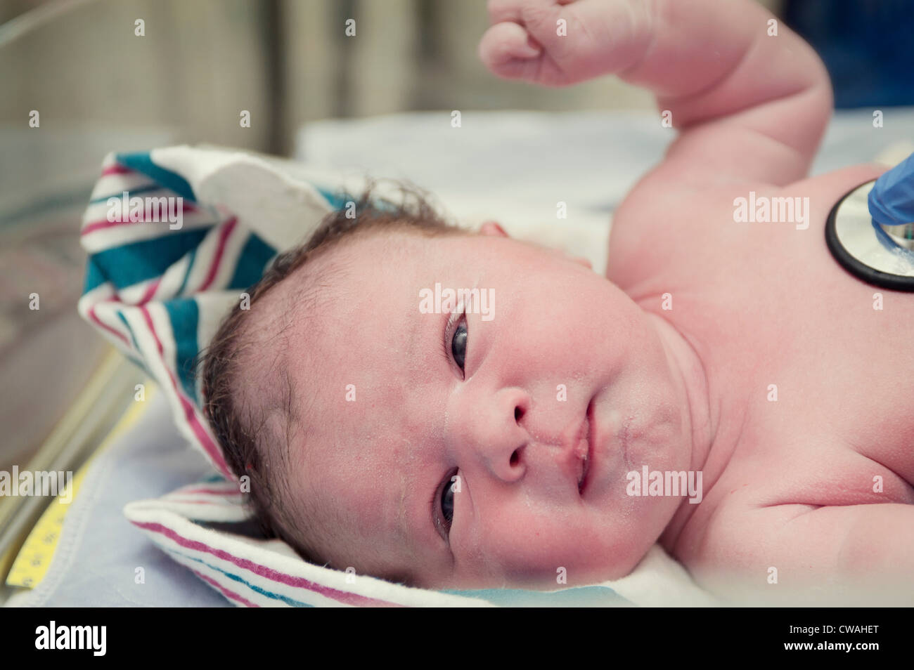 Newborn baby girl, close up Stock Photo - Alamy