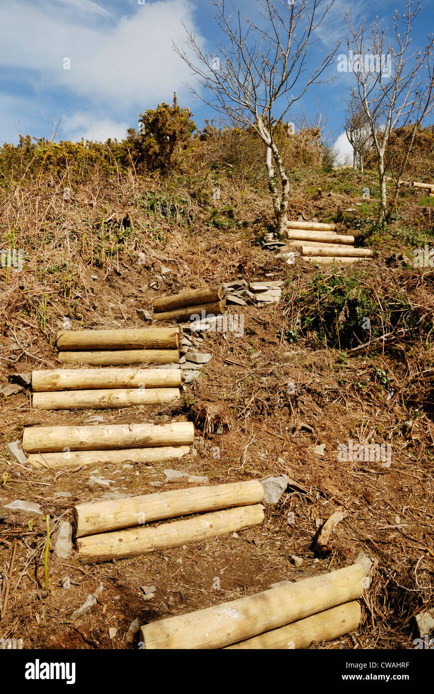 Timber steps hi-res stock photography and images - Alamy
