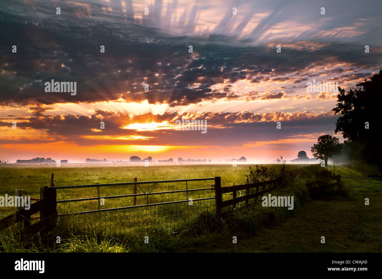 colorful sunrise over rural pasture in Groningen Stock Photo - Alamy