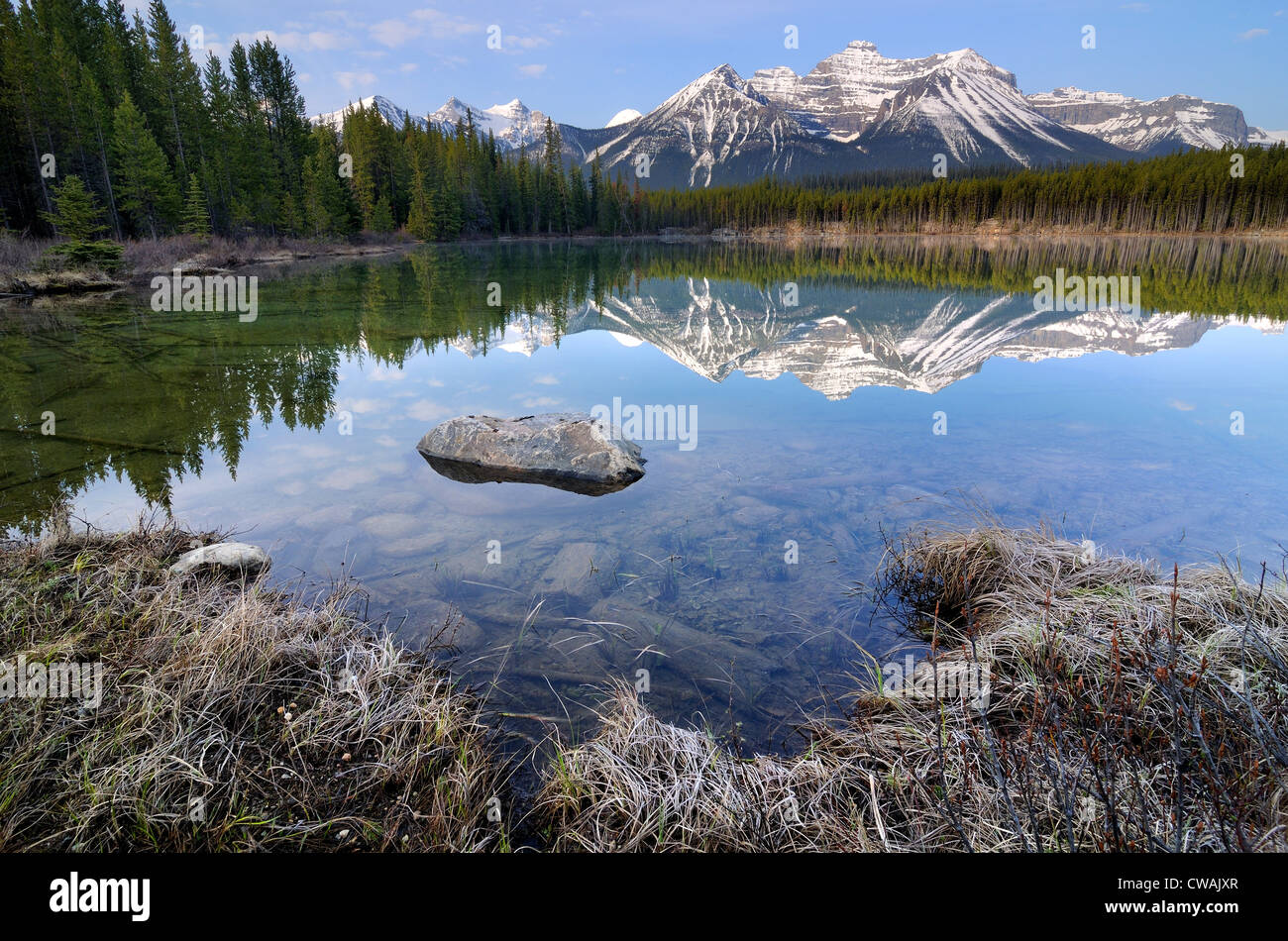 Herbert Lake and Bow Range, Banff National Park, Alberta, Canada Stock ...